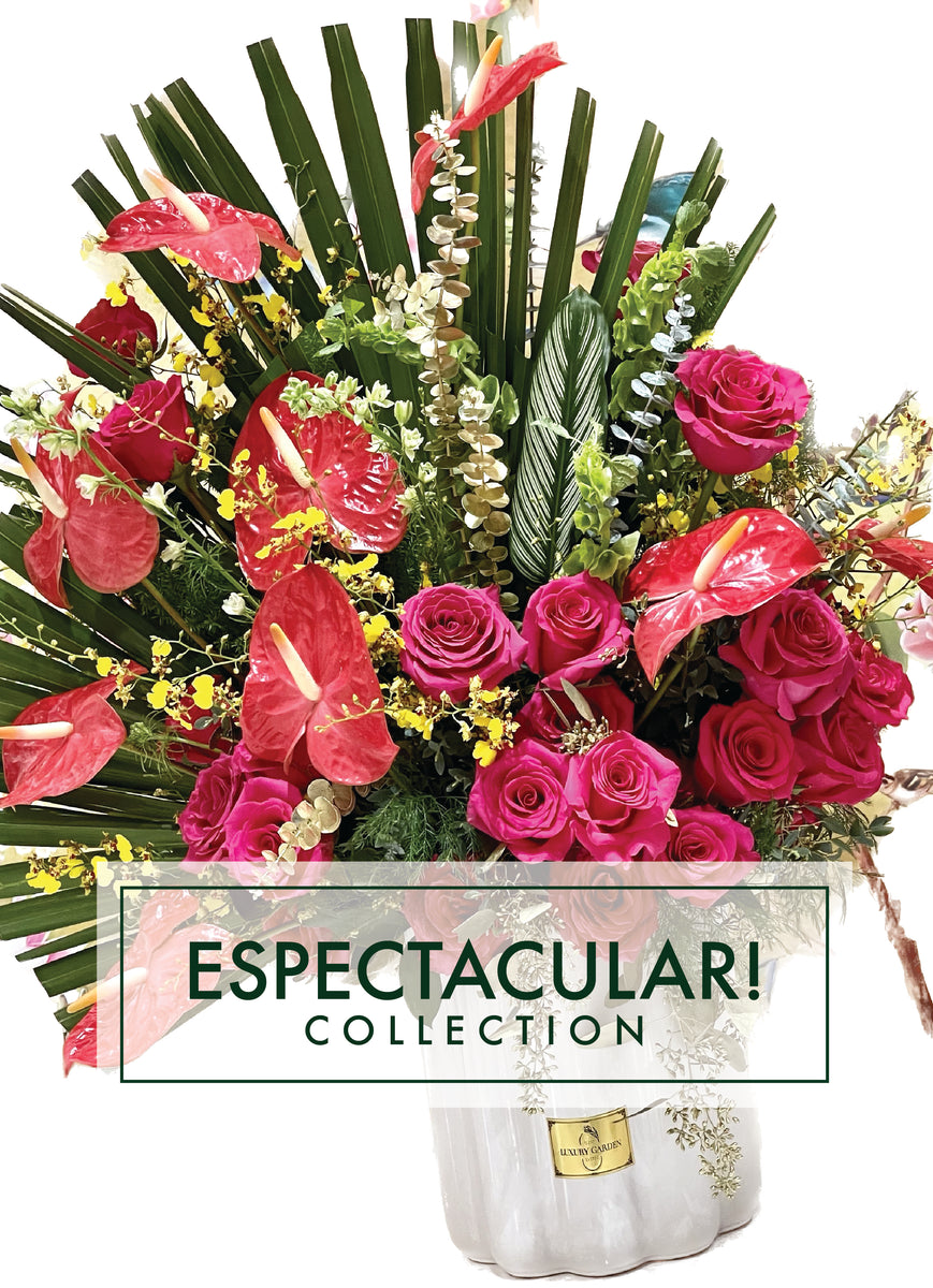 SPECTACULAR! – LUXURY GARDEN STUDIO
